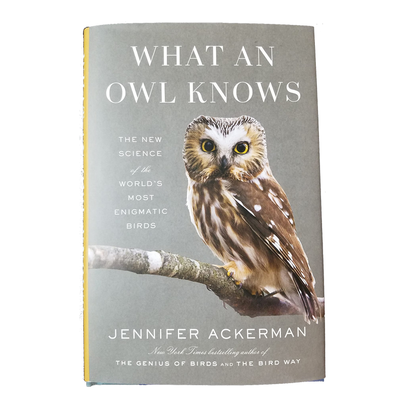 What an Owl Knows - By Jennifer Ackerman (Softcover) | International ...