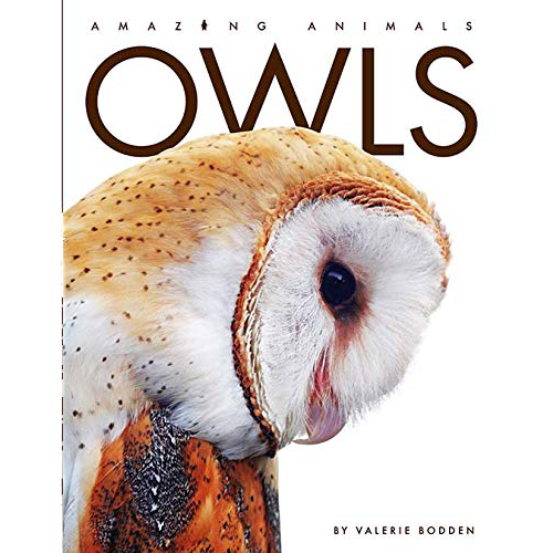 Amazing Animals: Owls - By Valerie Bodden (Softcover) | International ...