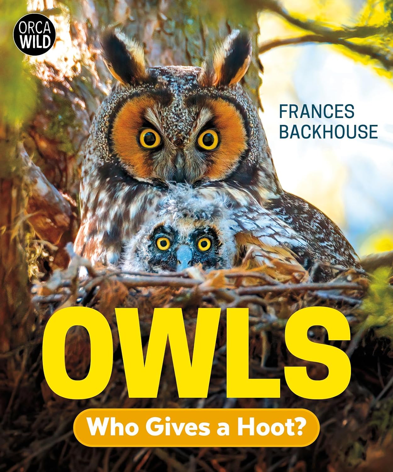 Owls: Who Gives a Hoot? - By Frances Backhouse (Hardcover ...