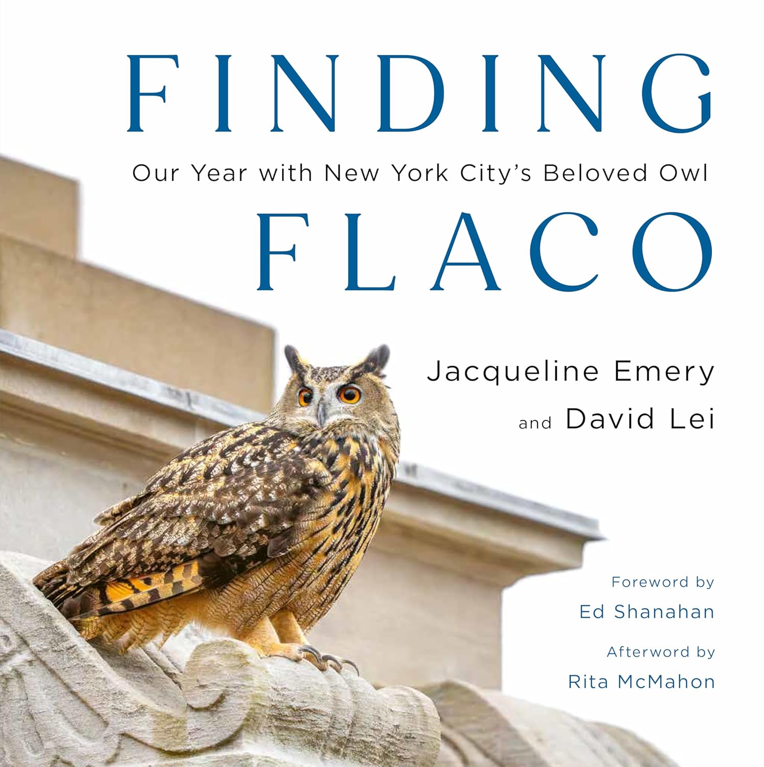 Finding Flaco - By Jacqueline Emery & David Lei (Hardcover ...