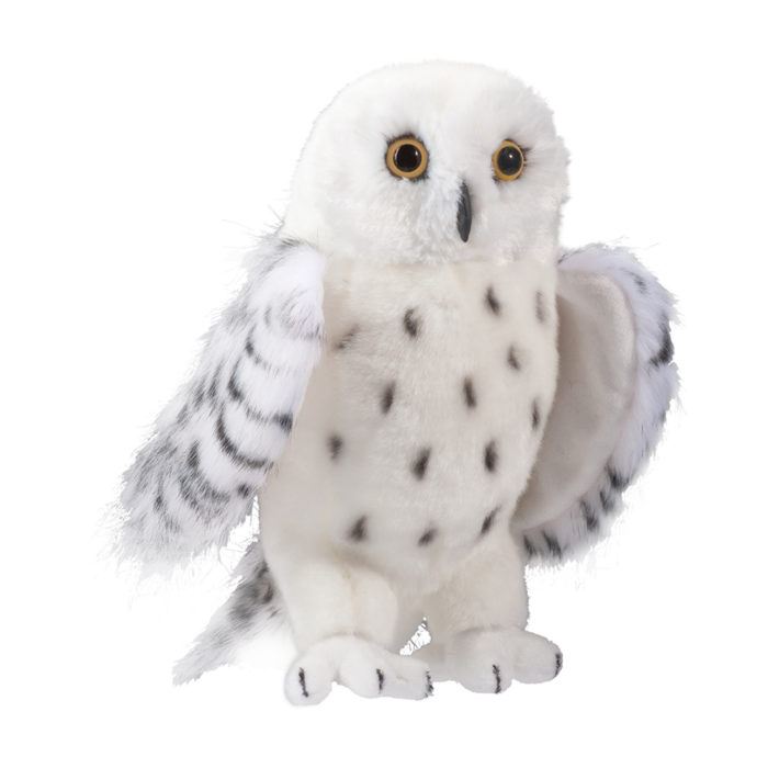 Legend the Snowy Owl | International Owl Center Online Store