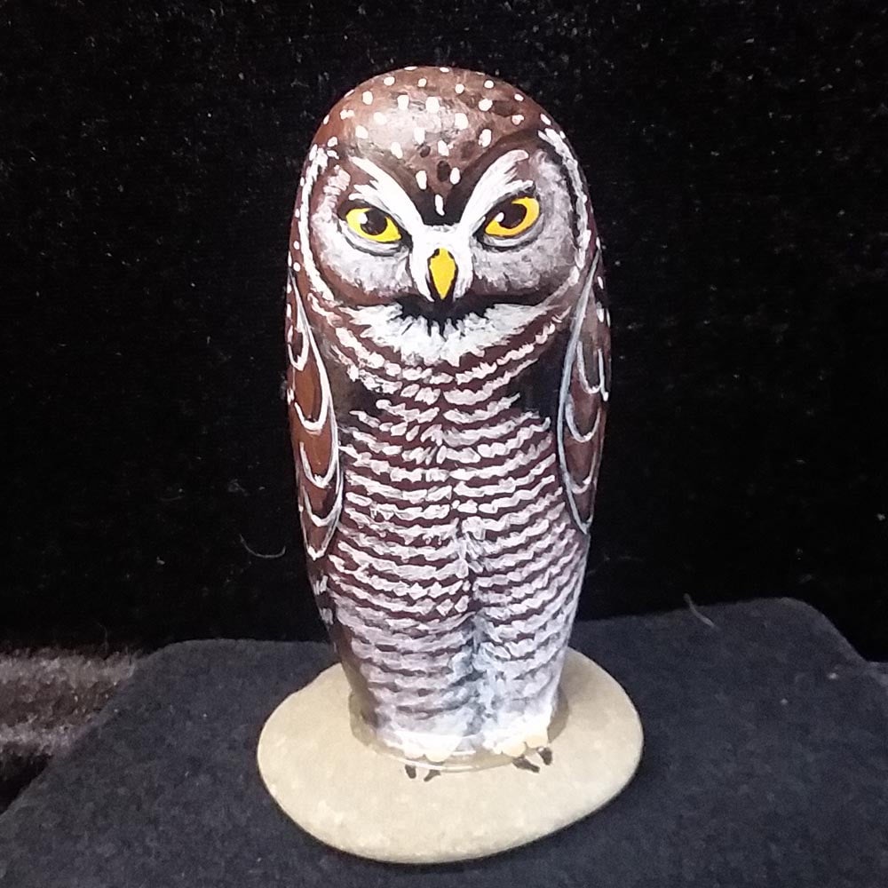 Painted Rock Hawk Owl | International Owl Center Online Store