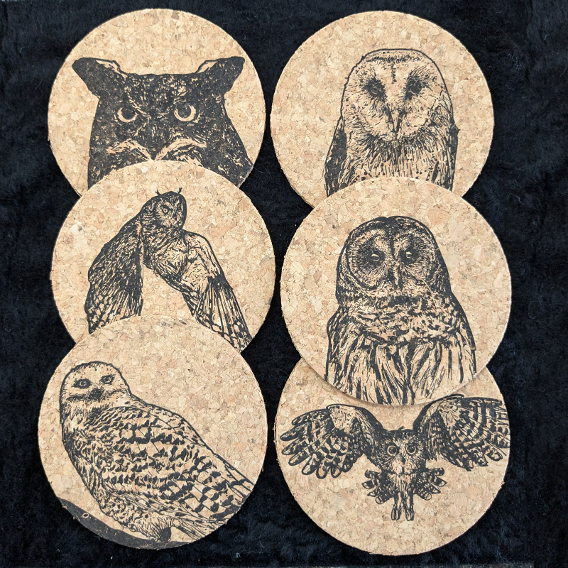Corkology Owls Cork Coaster Set | International Owl Center Online Store