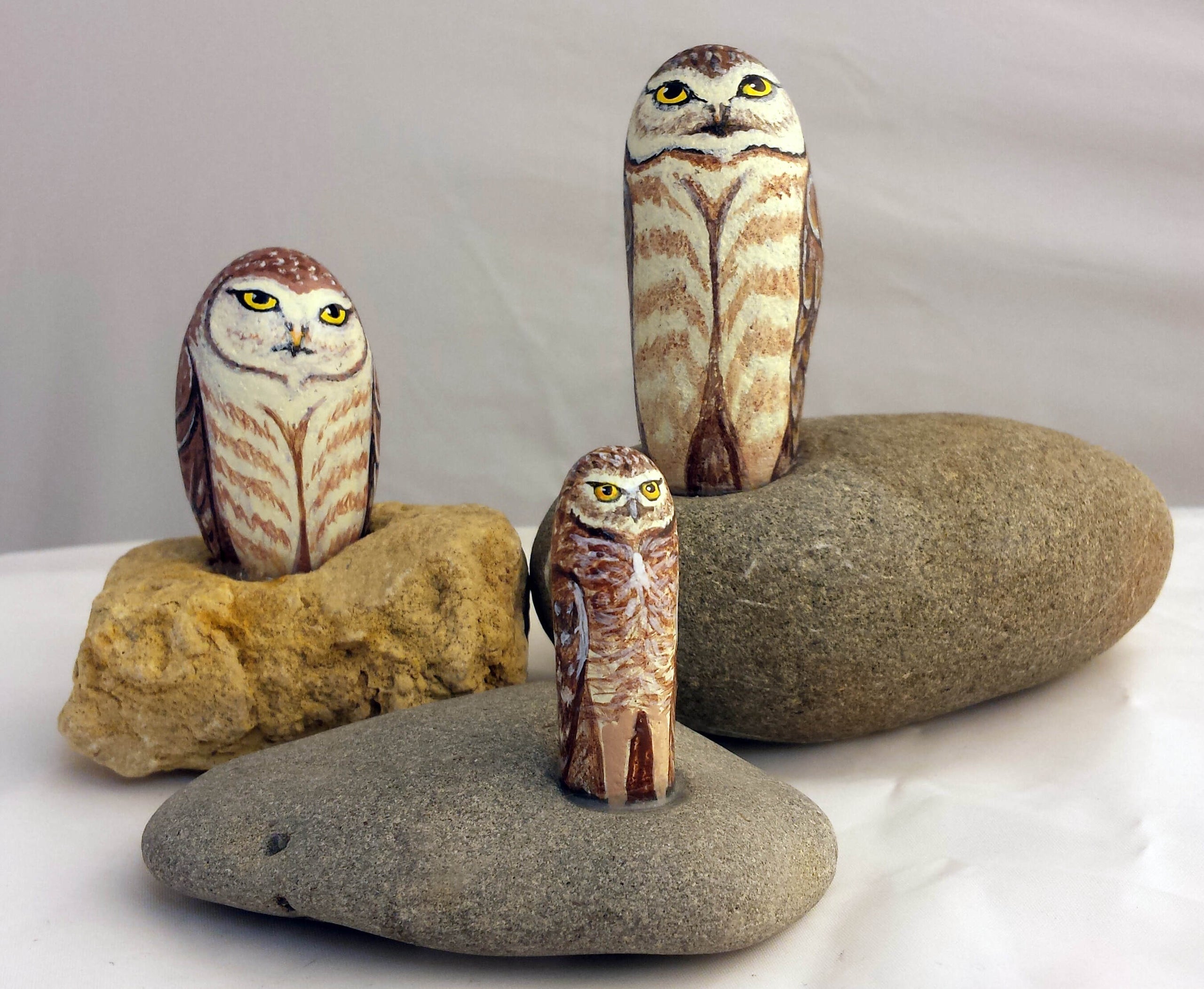 Painted Rock Burrowing Owl | International Owl Center Online Store