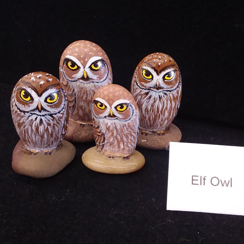 Painted Rock Elf Owl | International Owl Center Online Store