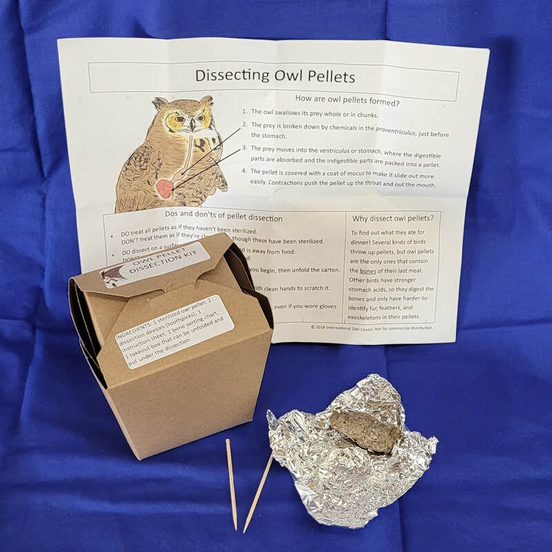 Owl Pellet Dissection Kit | International Owl Center Online Store