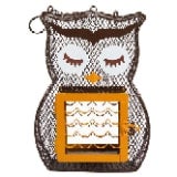 Suet 'n Seed Bird Feeder | International Owl Center Online Store