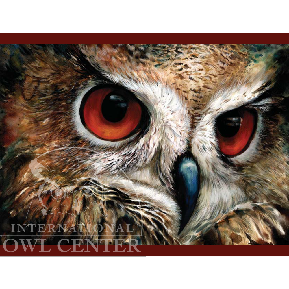 Back to the Owl Center website